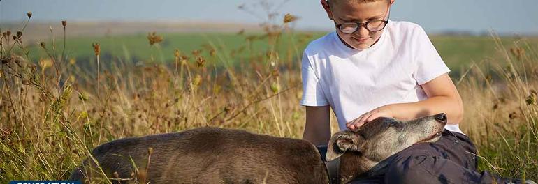 Northamptonshire Branch - Home - rspca.org.uk - RSPCA